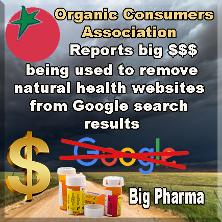 Google Search Results Misleading Consumers - You Can Fix It - FTC, DOJ